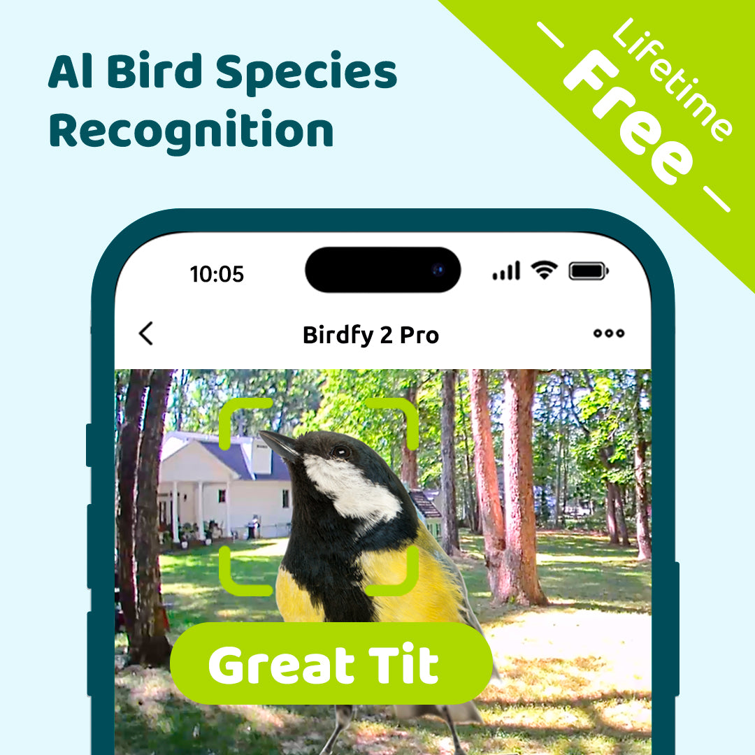 Birdfy Feeder 2 Pro - der erste intelligente Vogelfutterautomat der ...